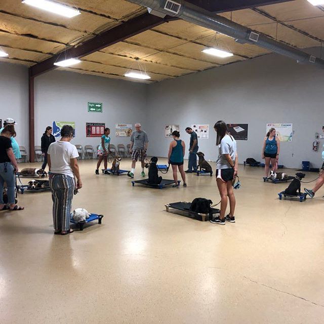 4Legs4Pets - Pets Most Comfortable Place™